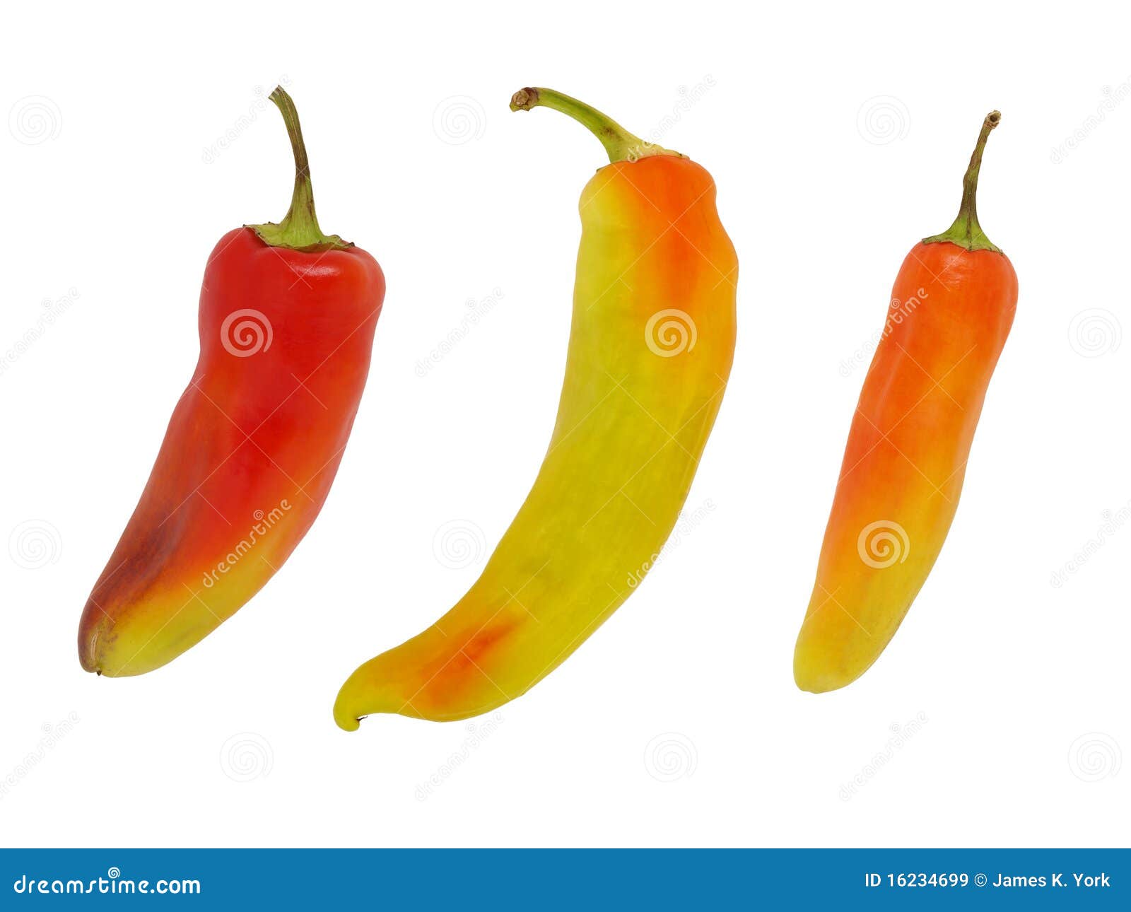 Assorted hot peppers stock image. Image of yellow, cook - 16234699
