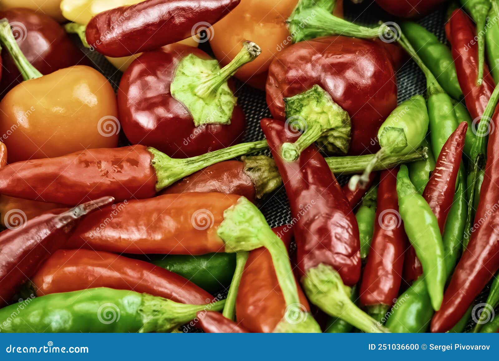 Assorted Hot Peppers Red and Green Close-up, Fresh Vegetables Stock ...