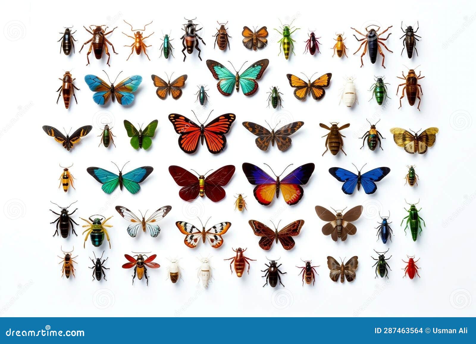 Assorted Insects Collection on White Background. AI Stock Illustration ...