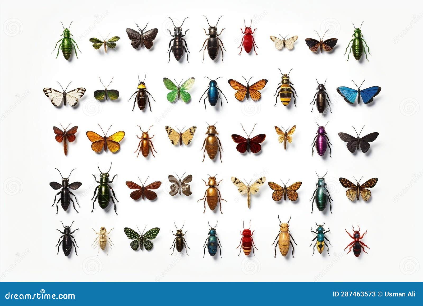 Assorted Insects Collection on White Background. AI Stock Illustration ...