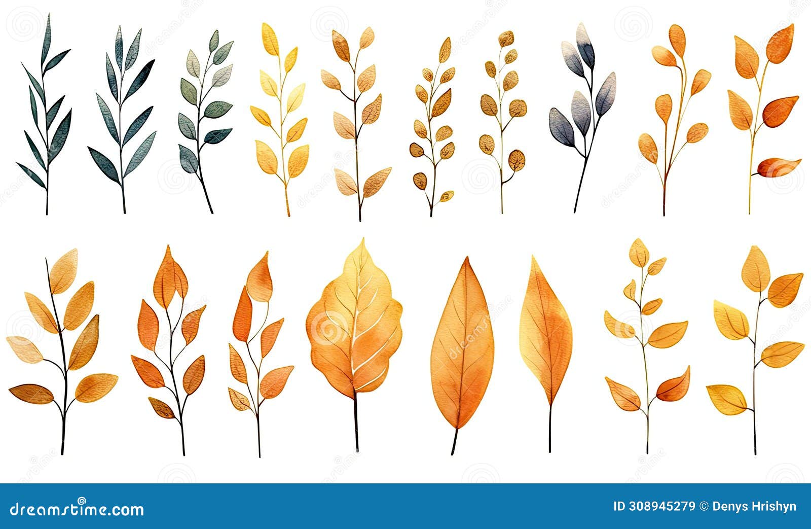 Assorted Leaves on White Background Stock Illustration - Illustration ...