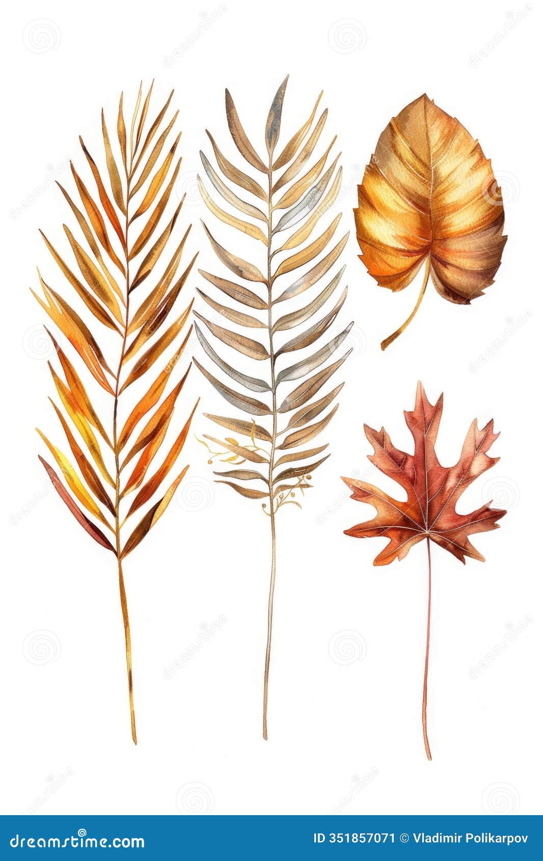 Assorted Leaves on White Background Stock Image - Image of assorted ...