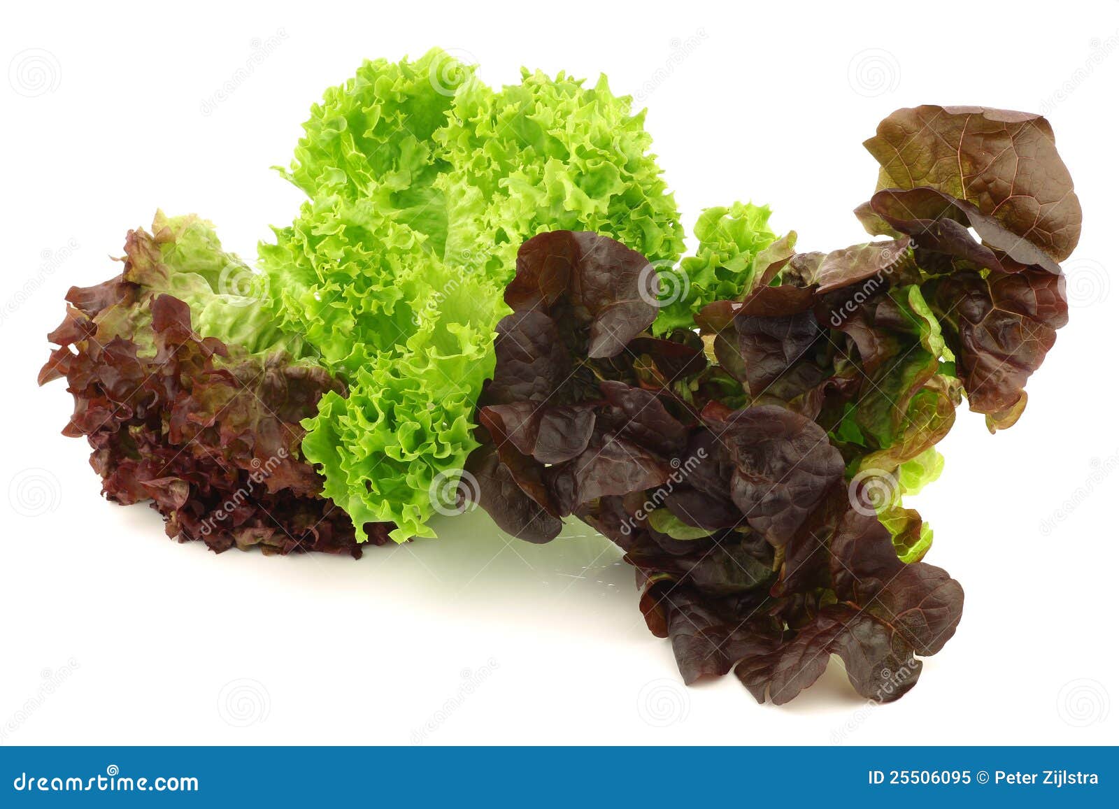 Assorted lettuce stock image. Image of mixed, farming - 25506095