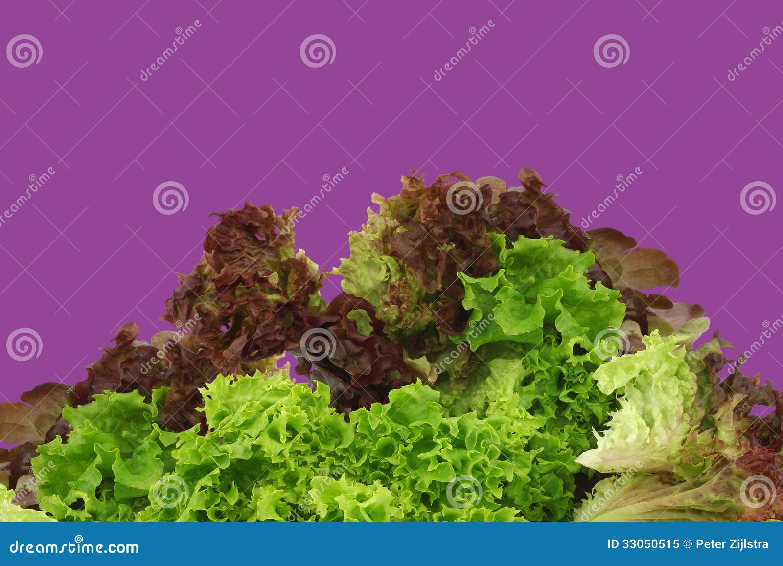 Assorted lettuce stock image. Image of healthy, vegetable - 33050515