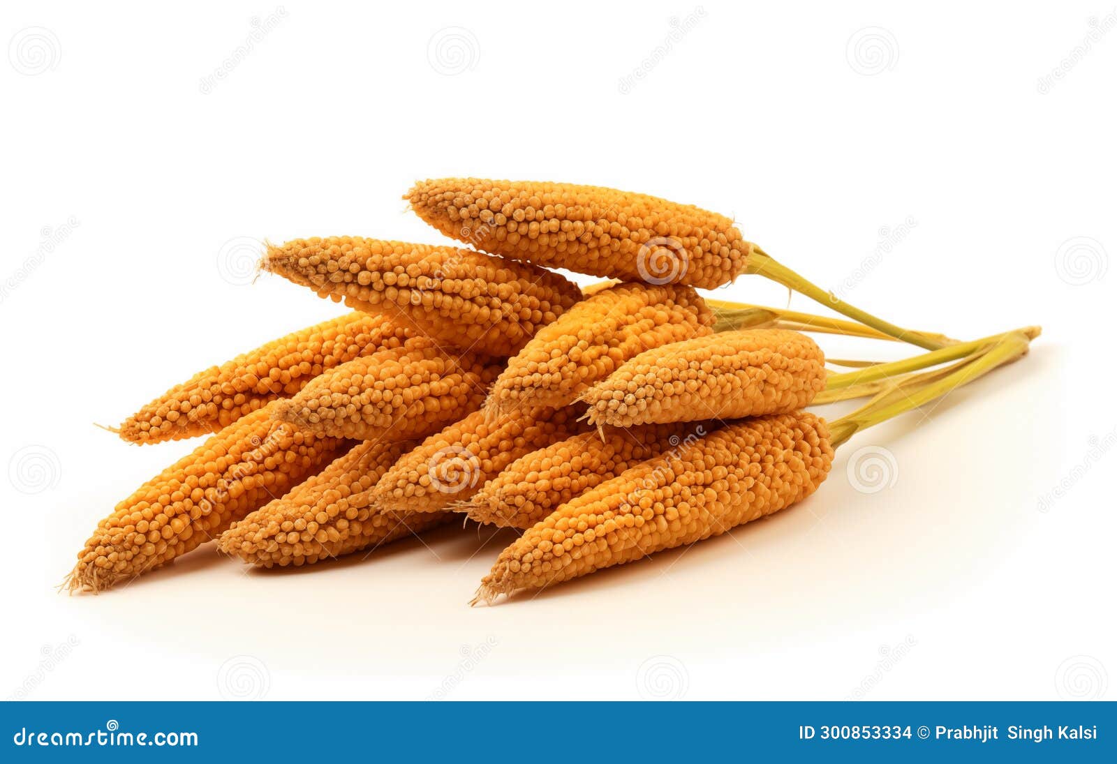 Assorted Millets on White Background Stock Illustration - Illustration ...