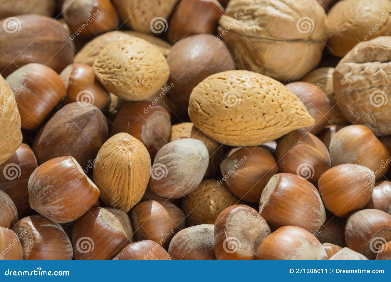 Assorted Mix of Different Nuts in Shells Stock Image - Image of ...