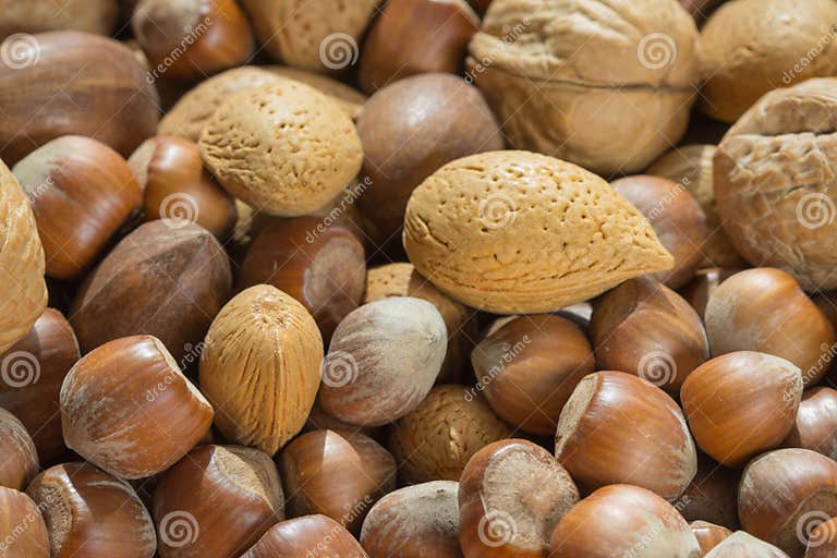 Assorted Mix of Different Nuts in Shells Stock Image - Image of ...