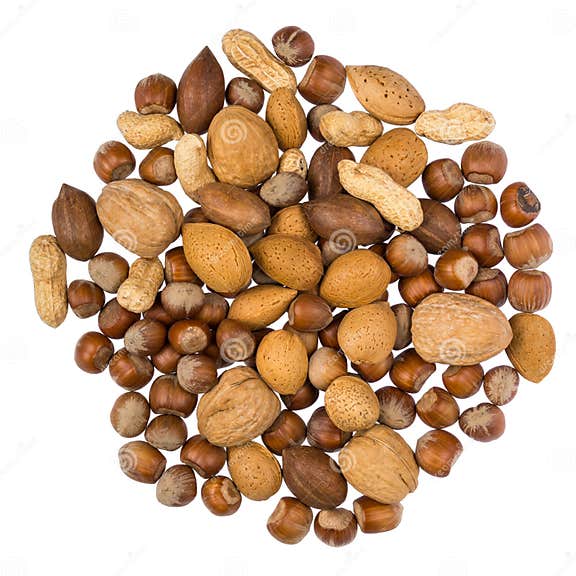 Assorted Mix of Nuts in Shells Arranged in a Circle Stock Photo - Image ...