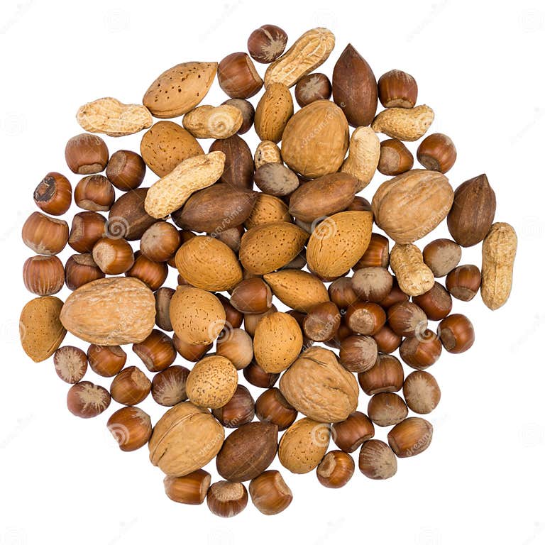 Assorted Mix of Nuts in Shells Arranged in a Circle Stock Image - Image ...