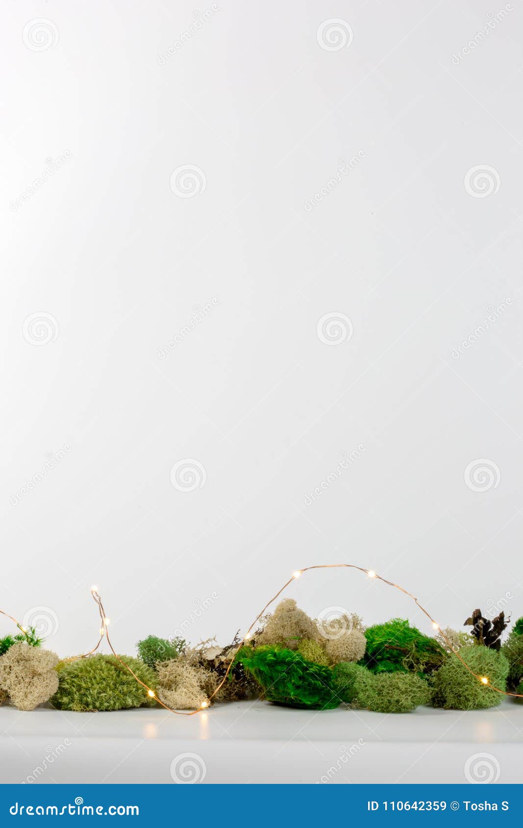Assorted Moss with Wire Lights Against White Background Stock Image ...