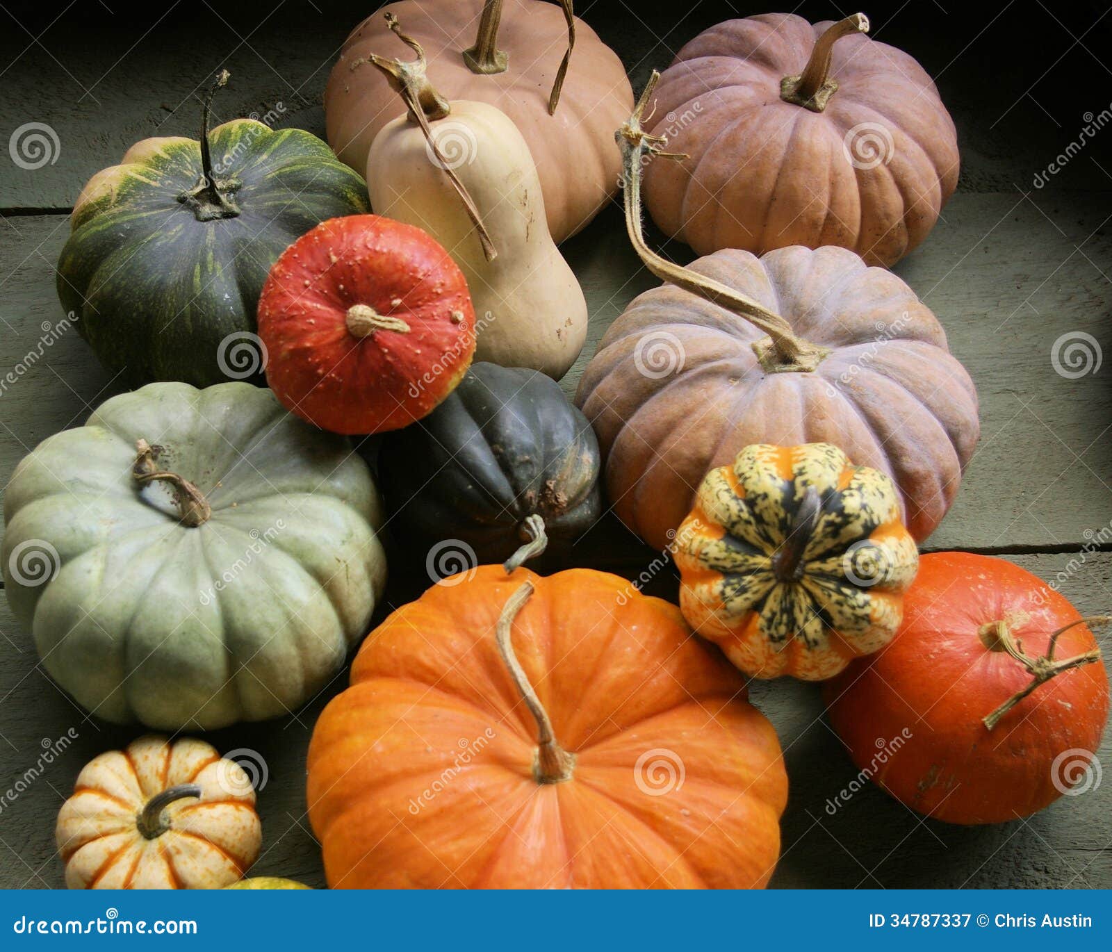 Assorted Multi Colored Pumpkins Stock Image - Image of yellow, stem ...