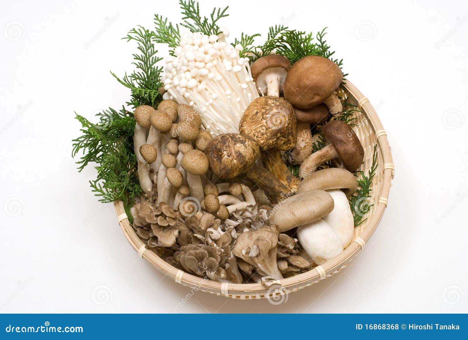 Assorted mushrooms stock photo. Image of hypsizygus, vegetables - 16868368