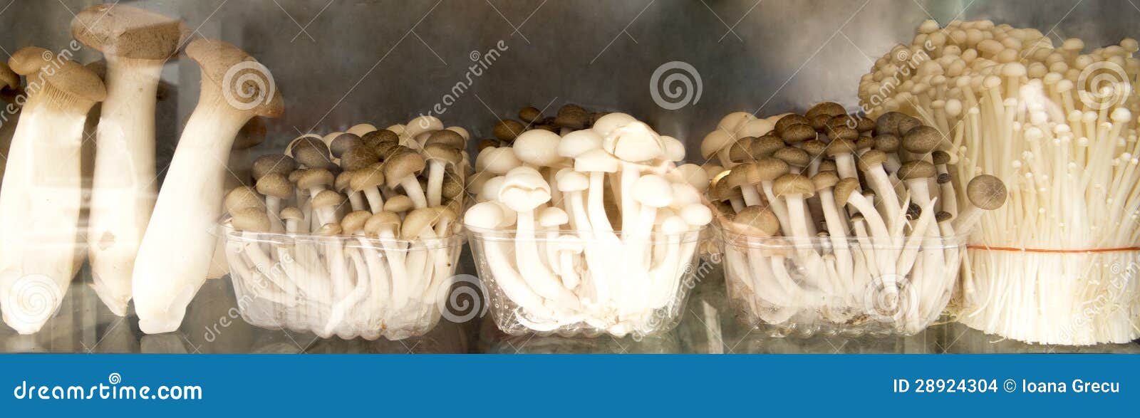 Assorted mushrooms stock photo. Image of asian, assorted - 28924304