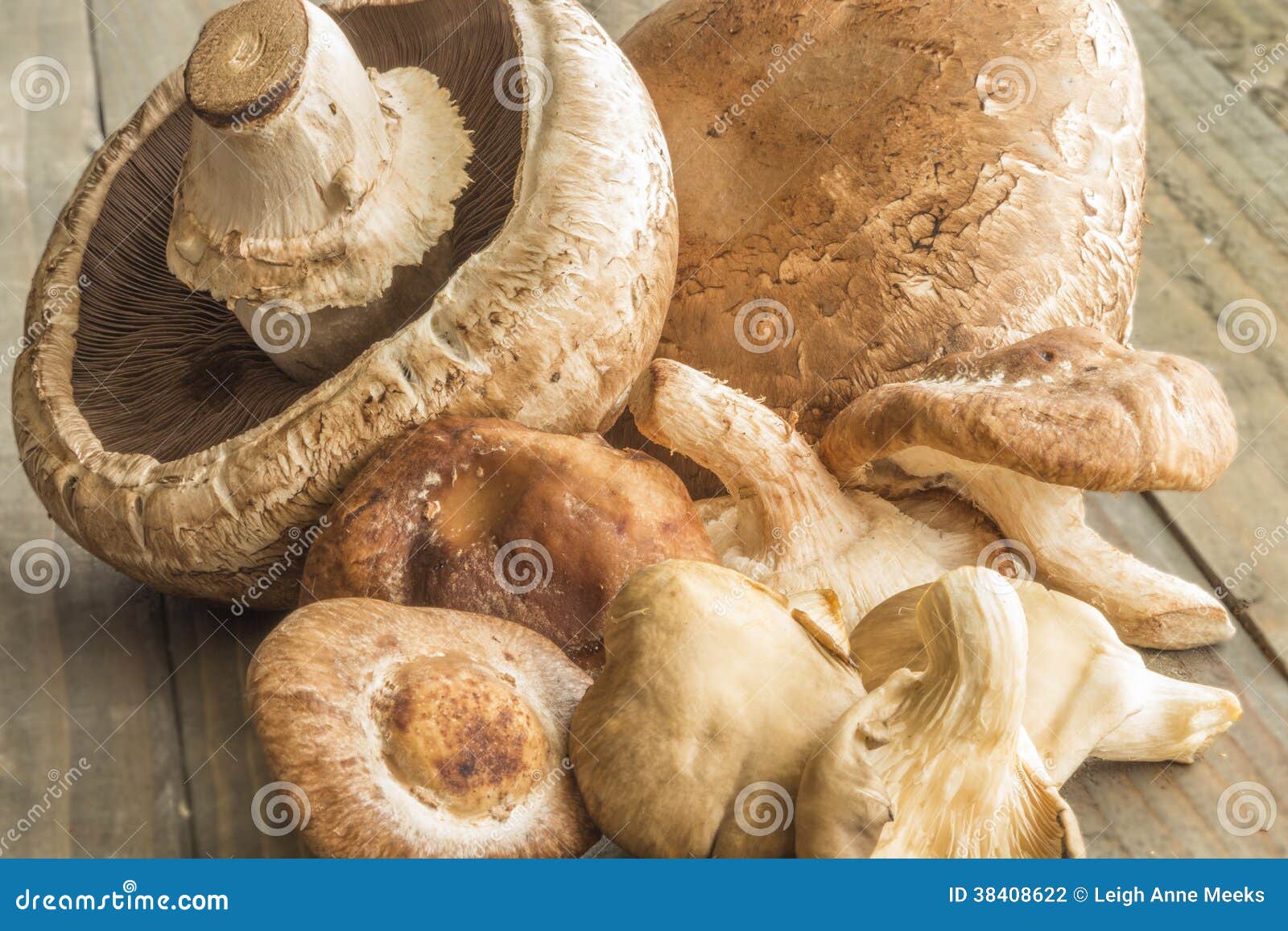 Assorted Mushrooms stock photo. Image of natural, assorted - 38408622