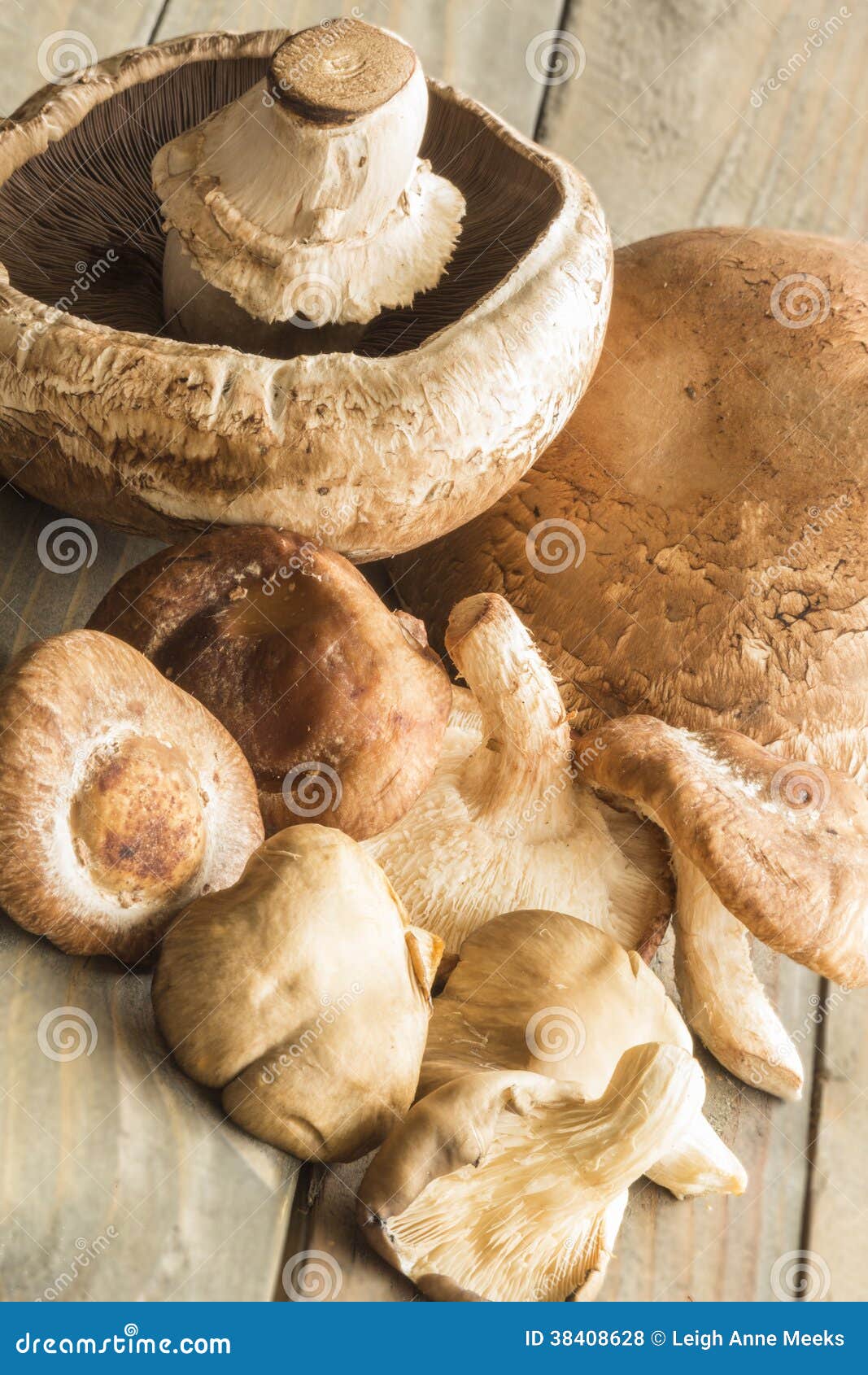 Assorted Mushrooms stock photo. Image of variety, natural - 38408628