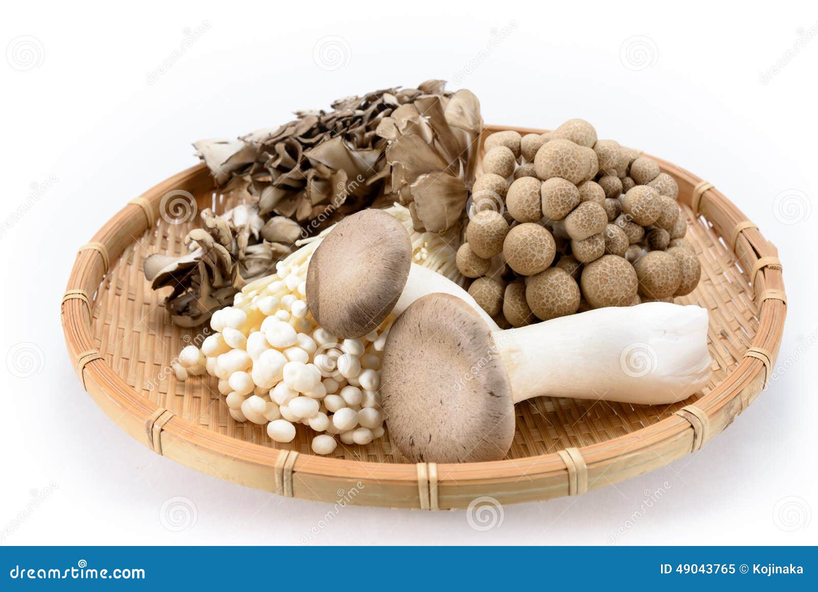 Assorted of mushrooms stock image. Image of mushroom - 49043765