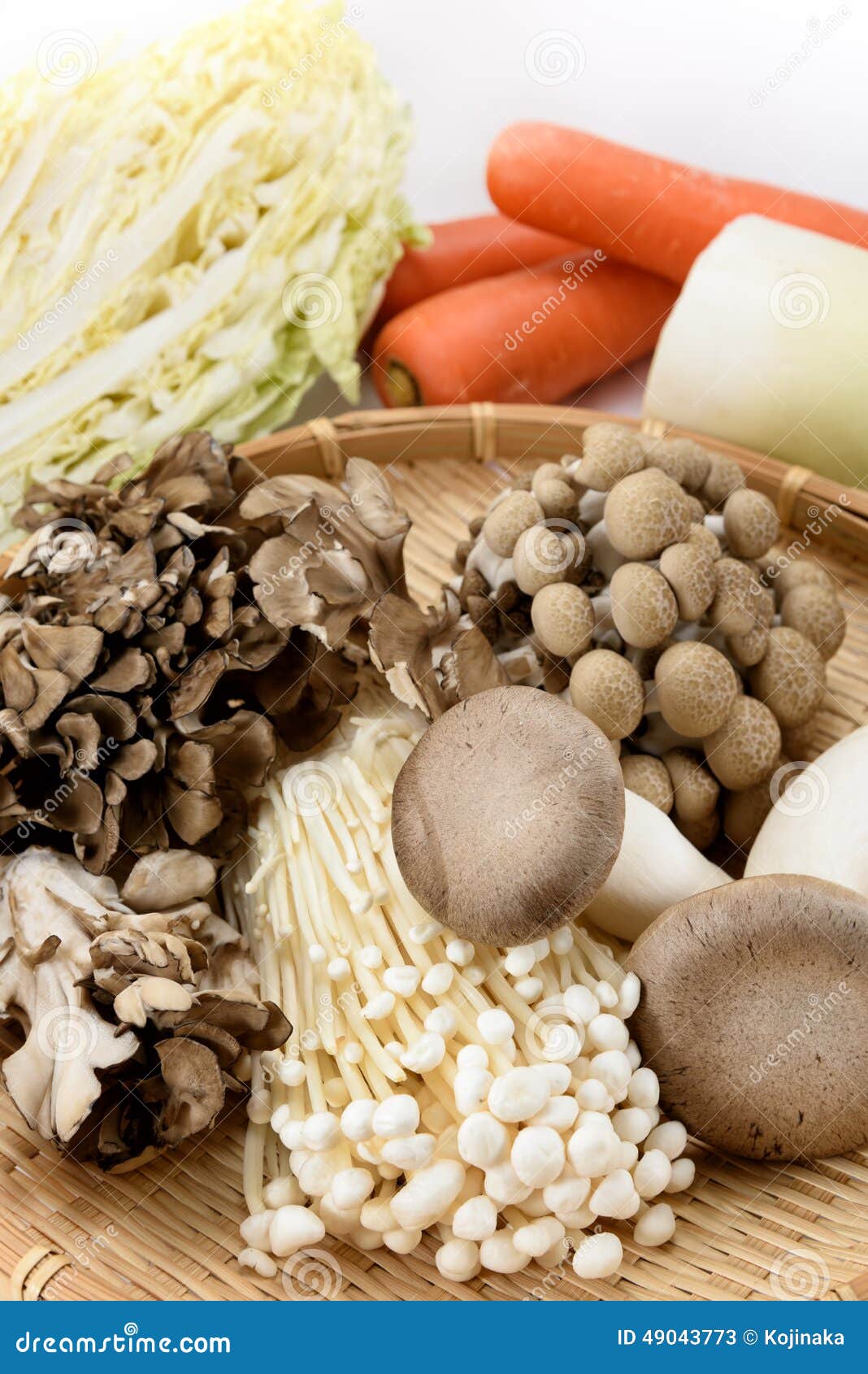 Assorted of mushrooms stock image. Image of napa, maitake - 49043773