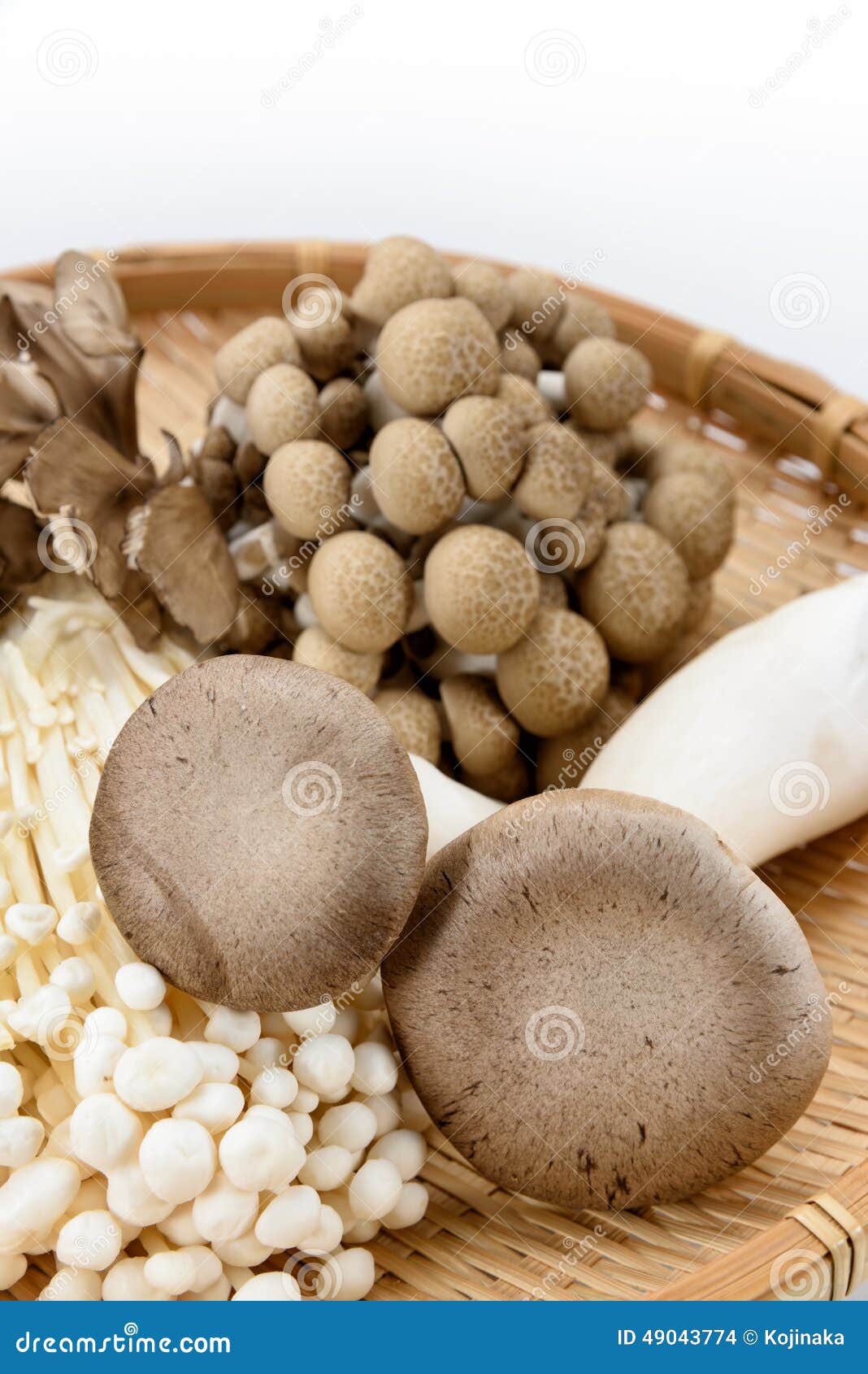 Assorted of mushrooms stock photo. Image of foodstuff - 49043774