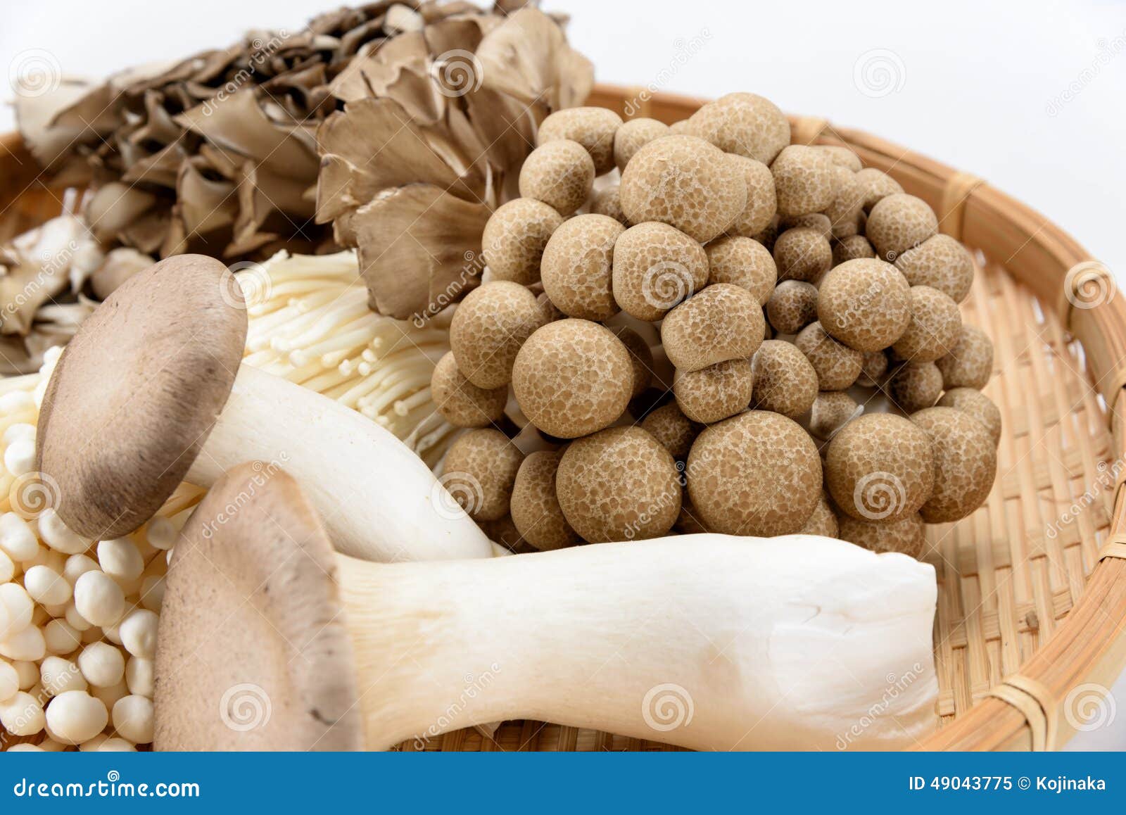 Assorted of mushrooms stock image. Image of assorted - 49043775