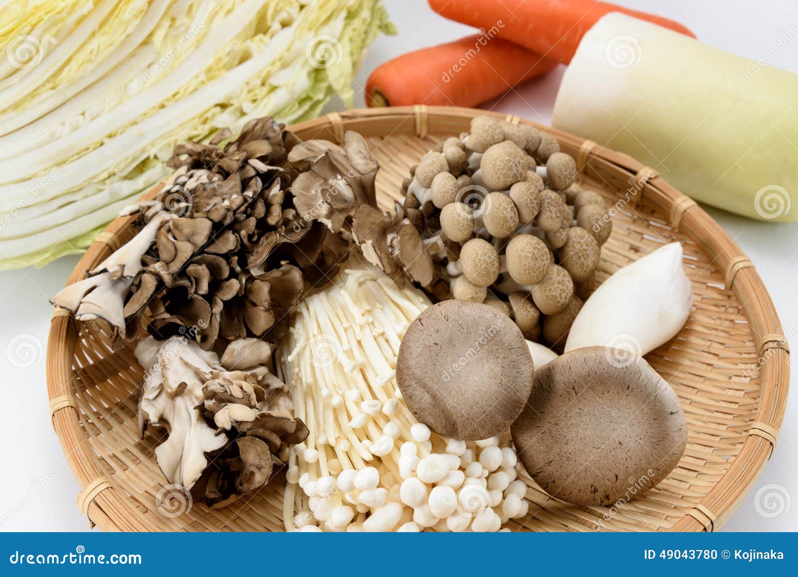 Assorted of mushrooms stock photo. Image of mushrooms - 49043780