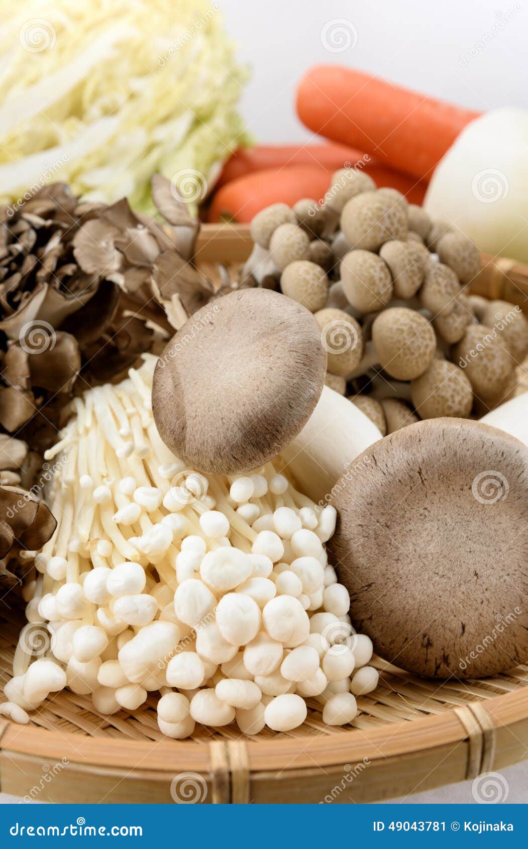Assorted of mushrooms stock image. Image of radish, chinese - 49043781