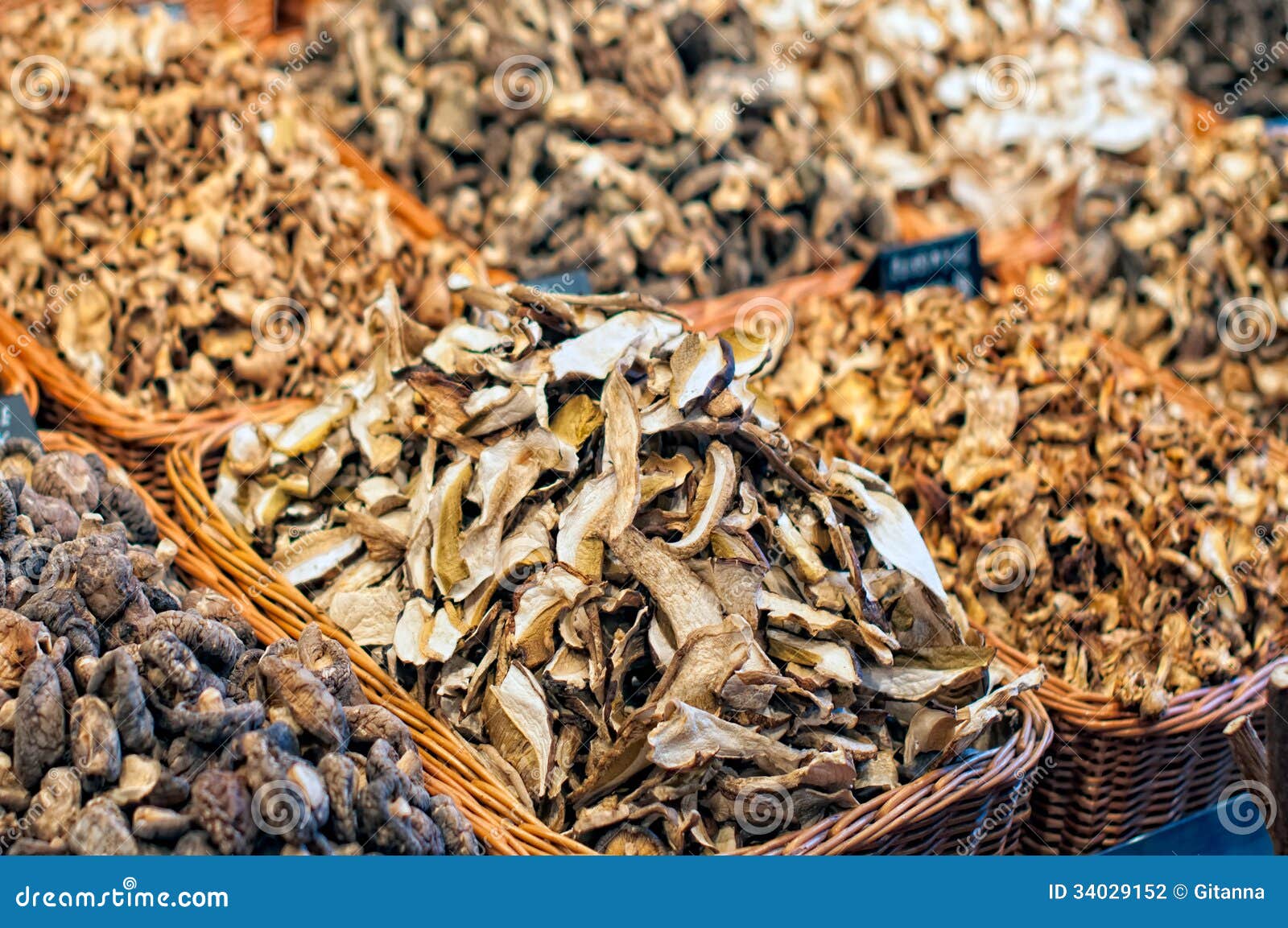 Assorted mushrooms stock photo. Image of boletus, root - 34029152