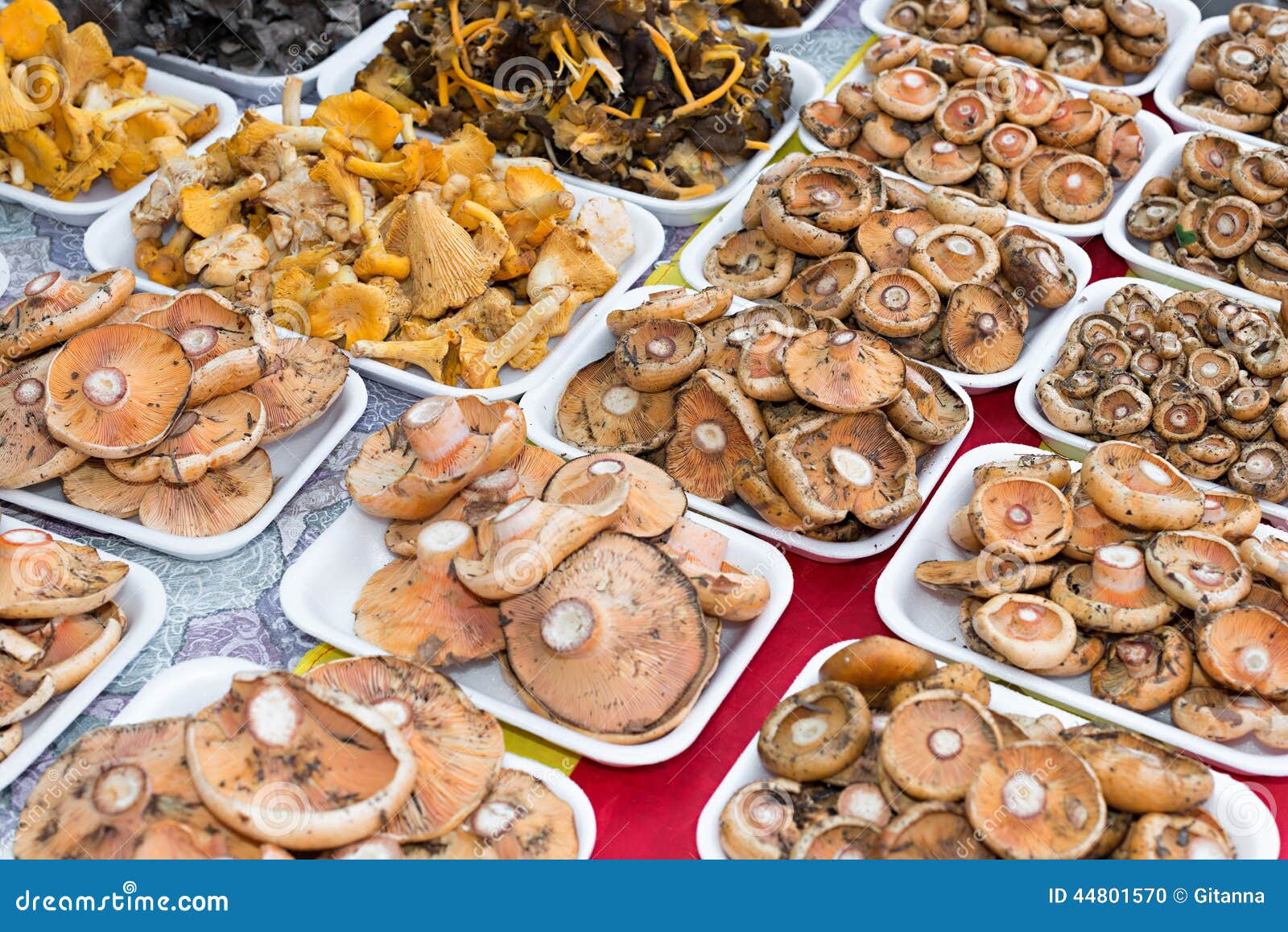 Assorted mushrooms stock photo. Image of dinner, fungus - 44801570