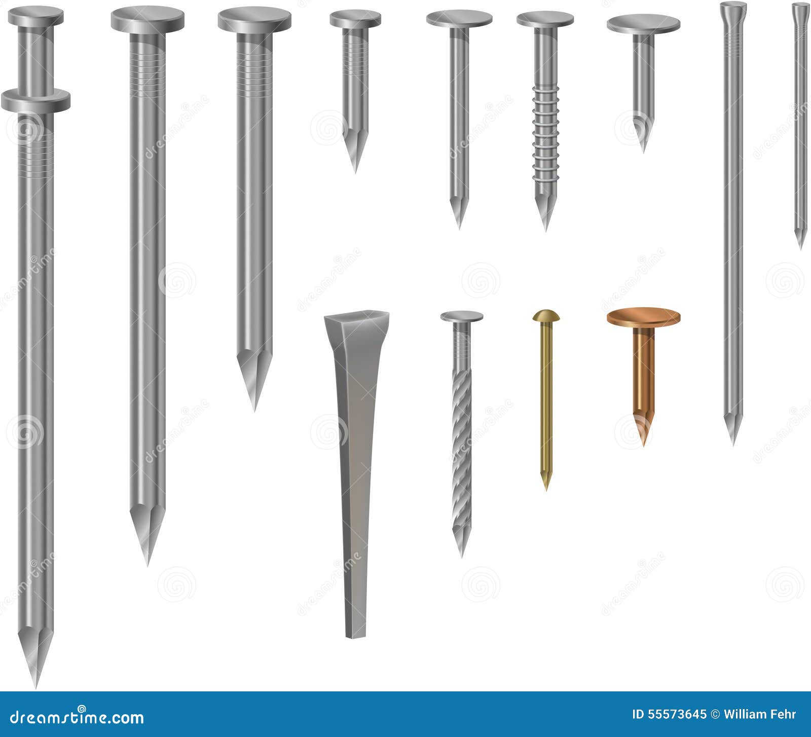 Assorted Nails stock vector. Illustration of fastener - 55573645