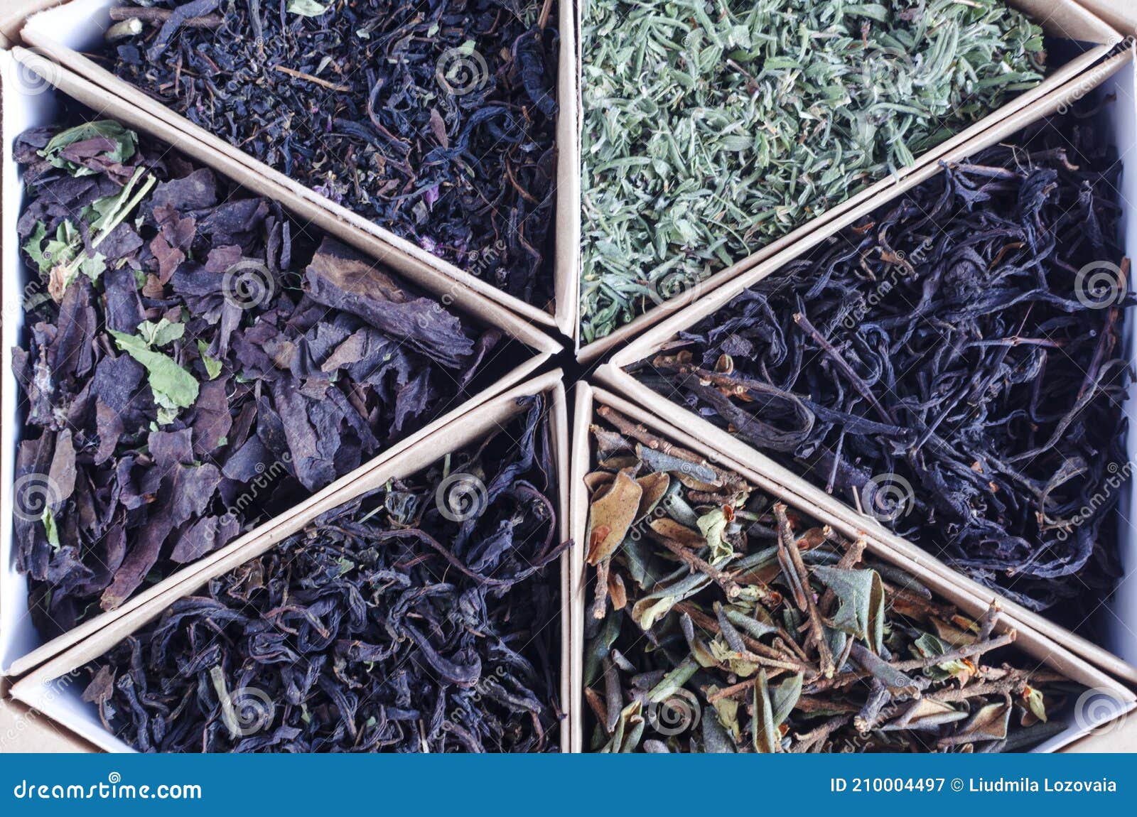 Assorted Natural Herbal Teas from Currant Ivan Tea and Others Close Up ...