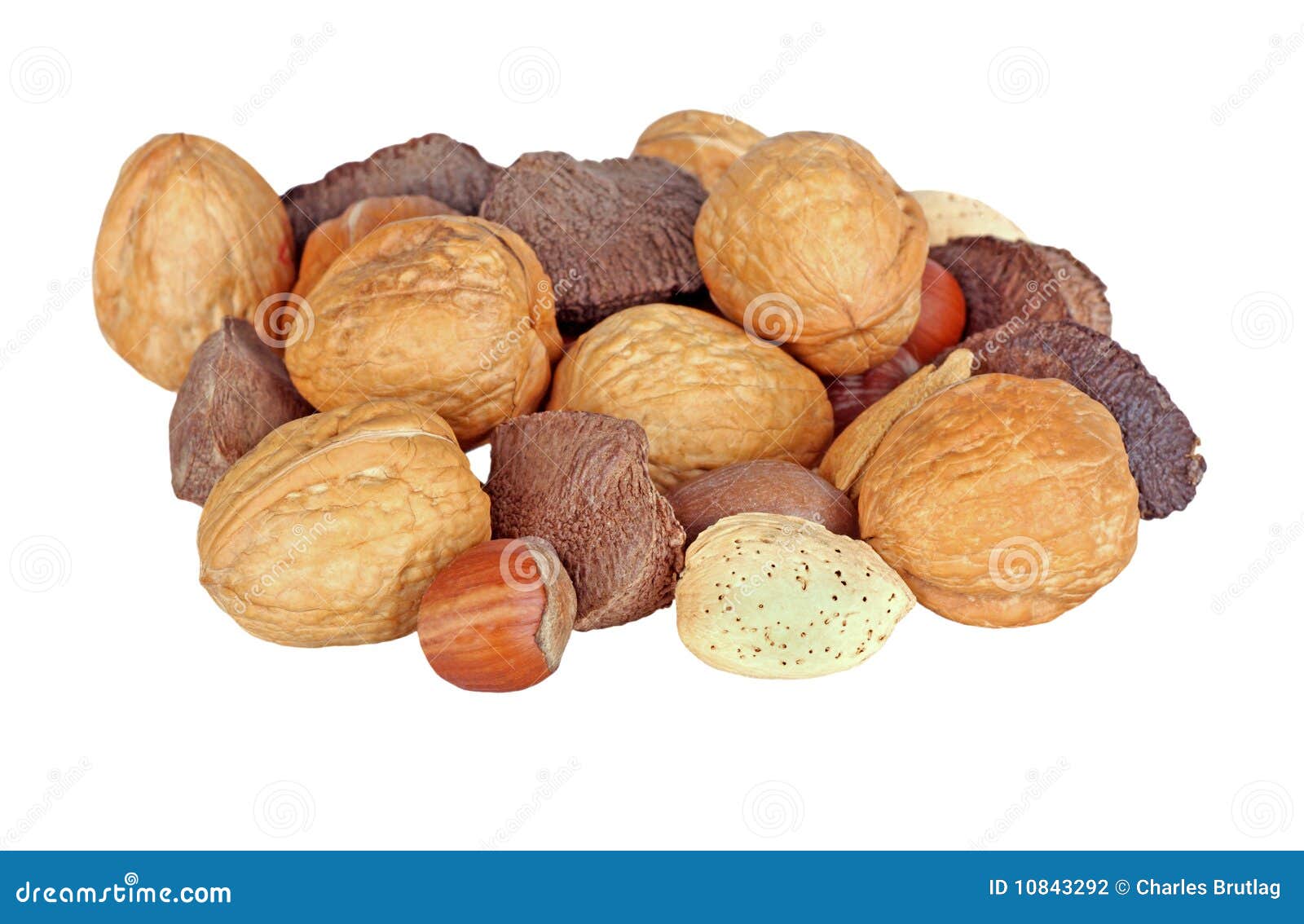 Assorted Nuts stock photo. Image of brown, walnut, closeup - 10843292