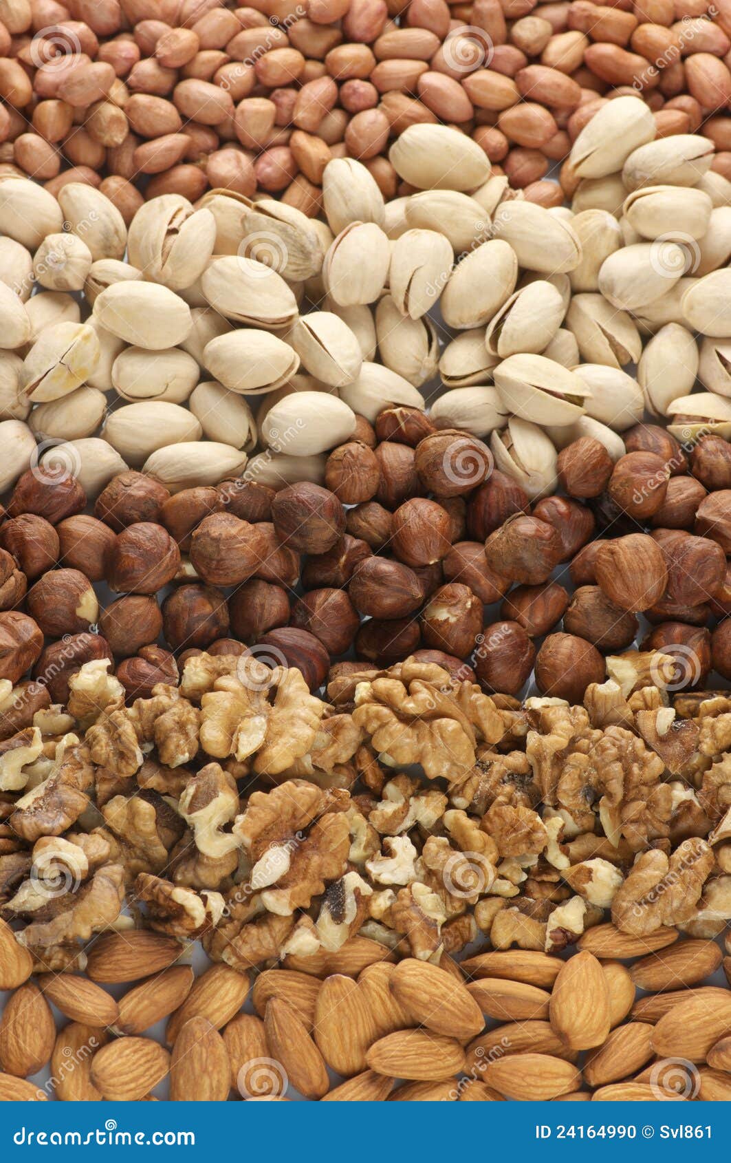 Assorted nuts stock photo. Image of hazelnut, ingredient - 24164990