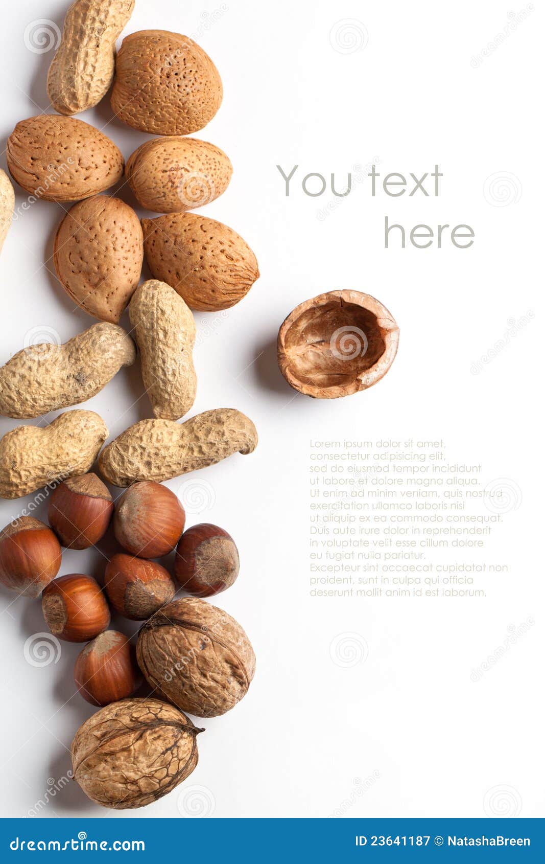 Assorted Nuts Almond, Hazelnut, Walnut and Peanut Stock Image - Image ...