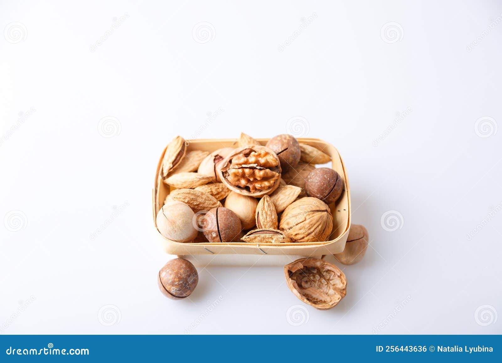 Assorted Nuts in the Shell on a White Background: Walnuts, Pecans ...