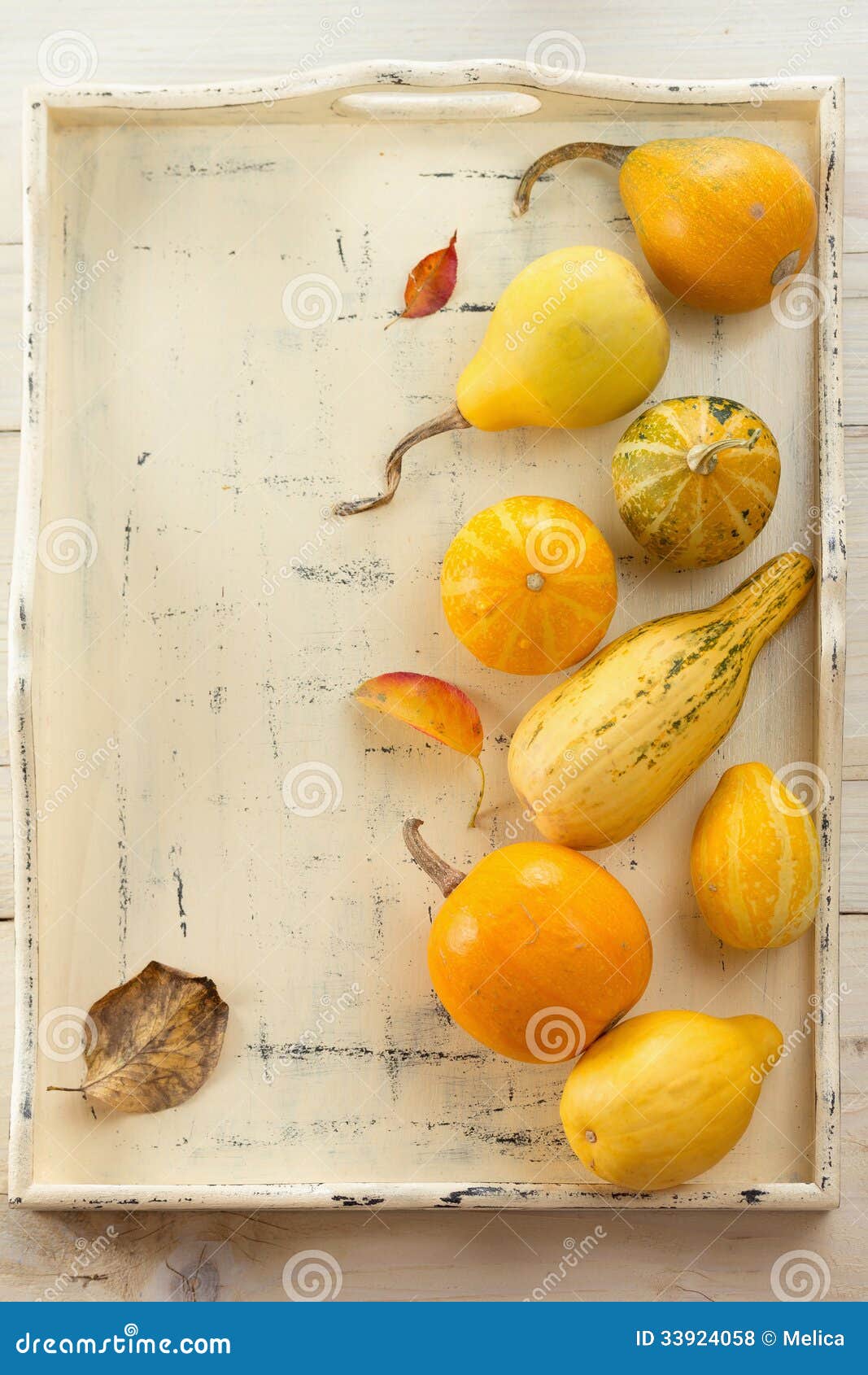 Assorted ornamental gourds stock photo. Image of arrangement - 33924058