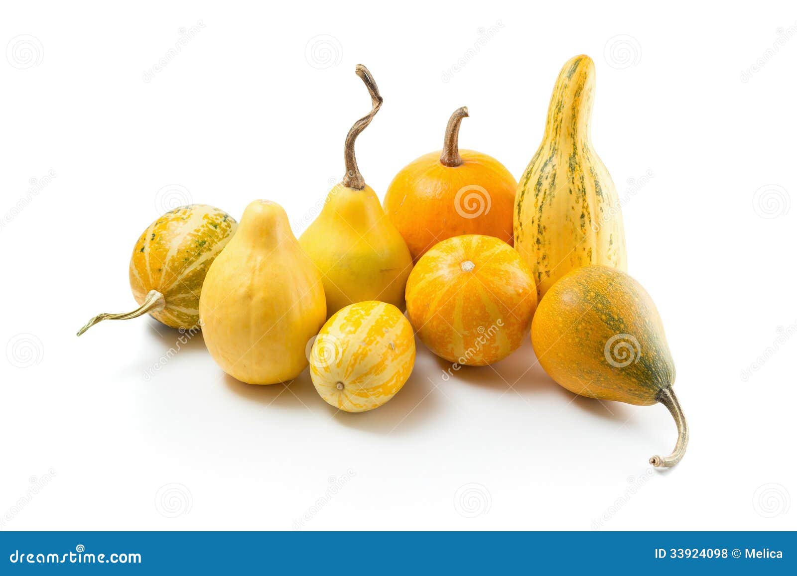 Assorted ornamental gourds stock photo. Image of arrangement - 33924098