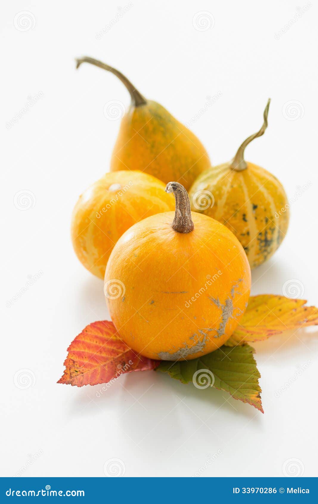 Assorted ornamental gourds stock photo. Image of celebration - 33970286