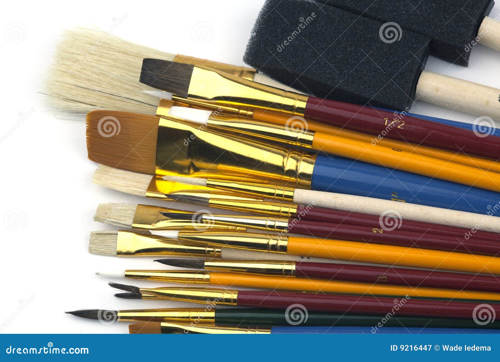 Assorted Paintbrushes in Different Sizes Stock Image - Image of ...