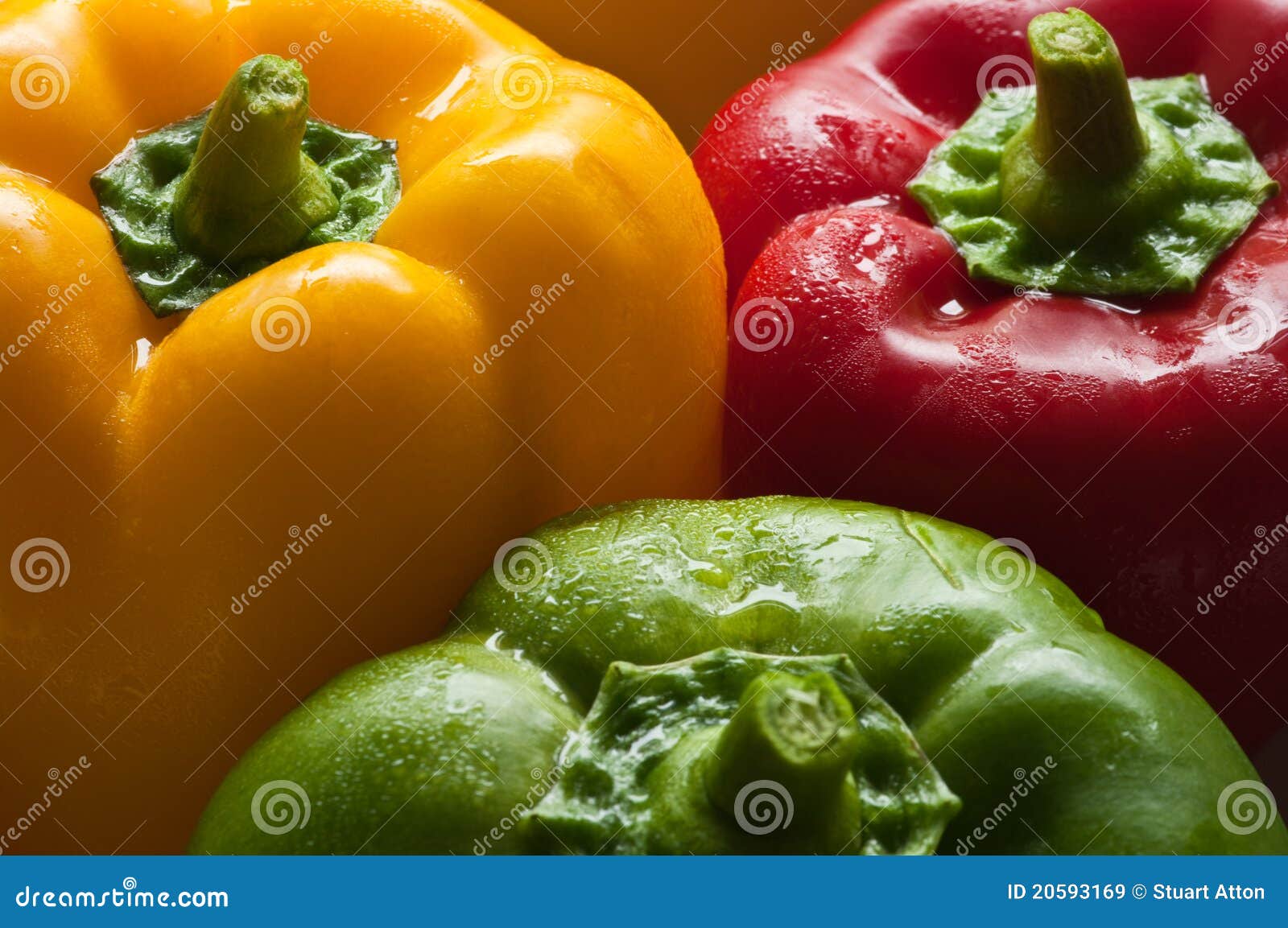 Assorted Peppers stock image. Image of agriculture, produce - 20593169