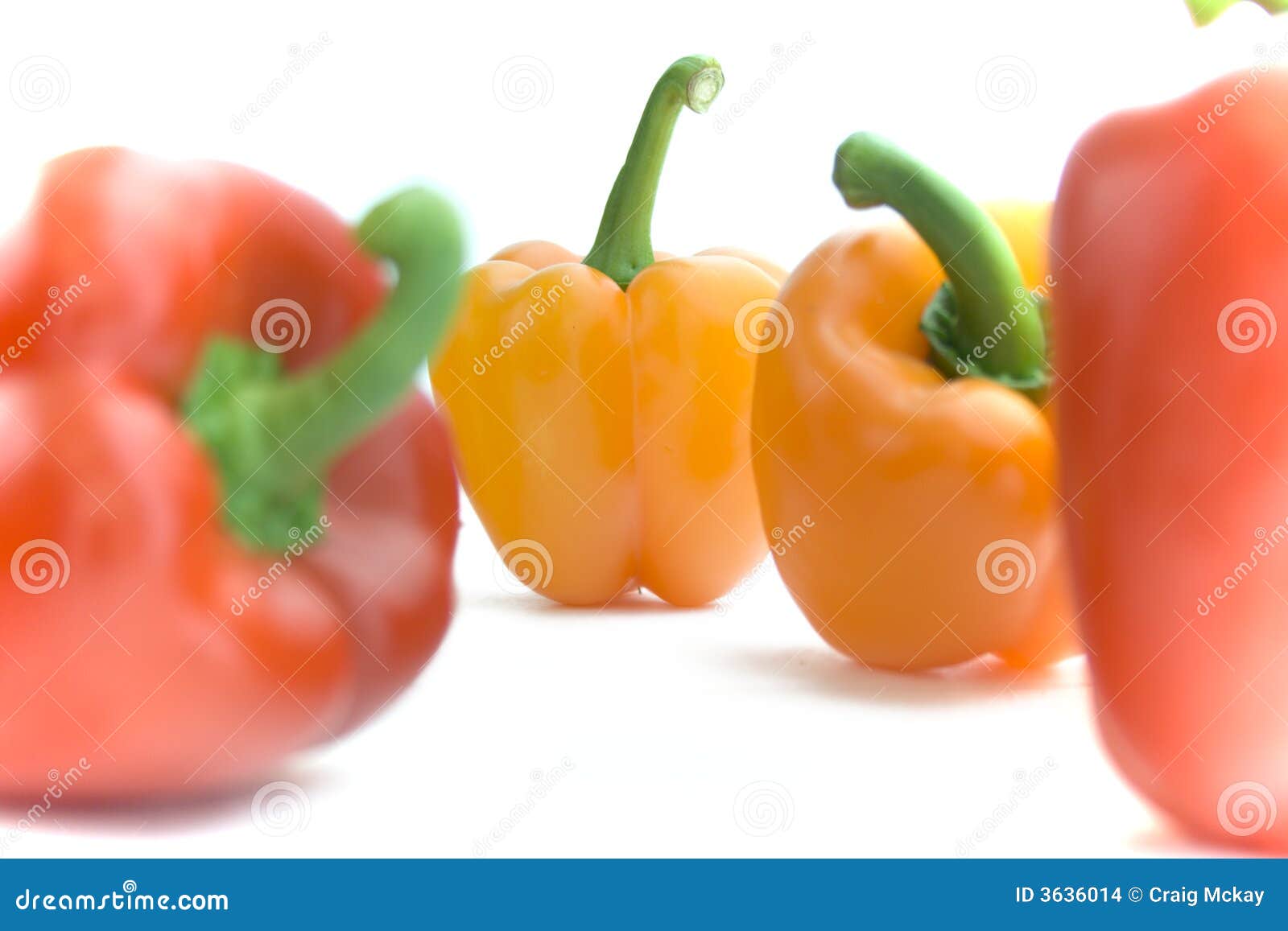 Assorted Peppers Against White Background Stock Photo - Image of ...