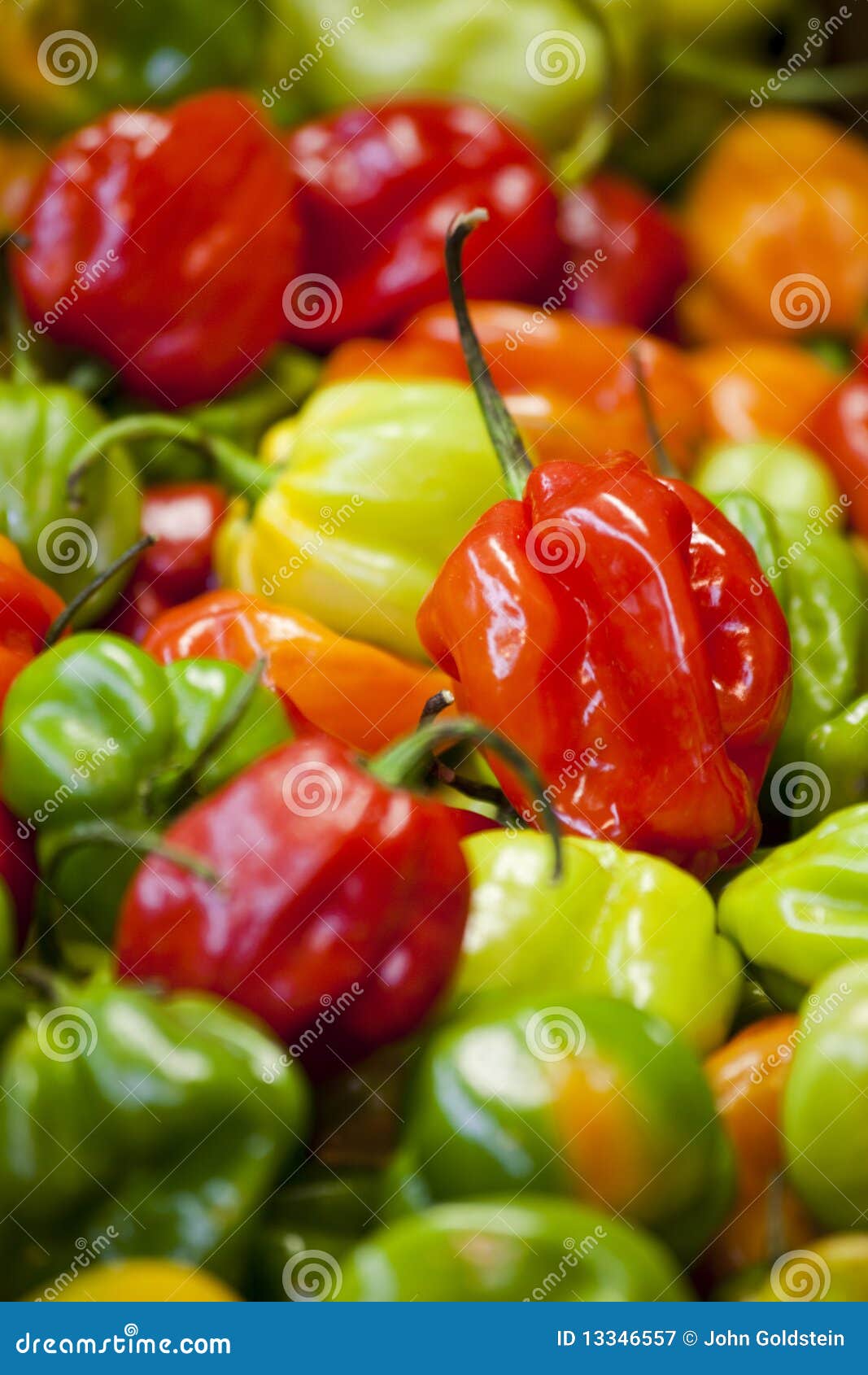 Assorted Peppers on Display at Market Stock Image - Image of orange ...