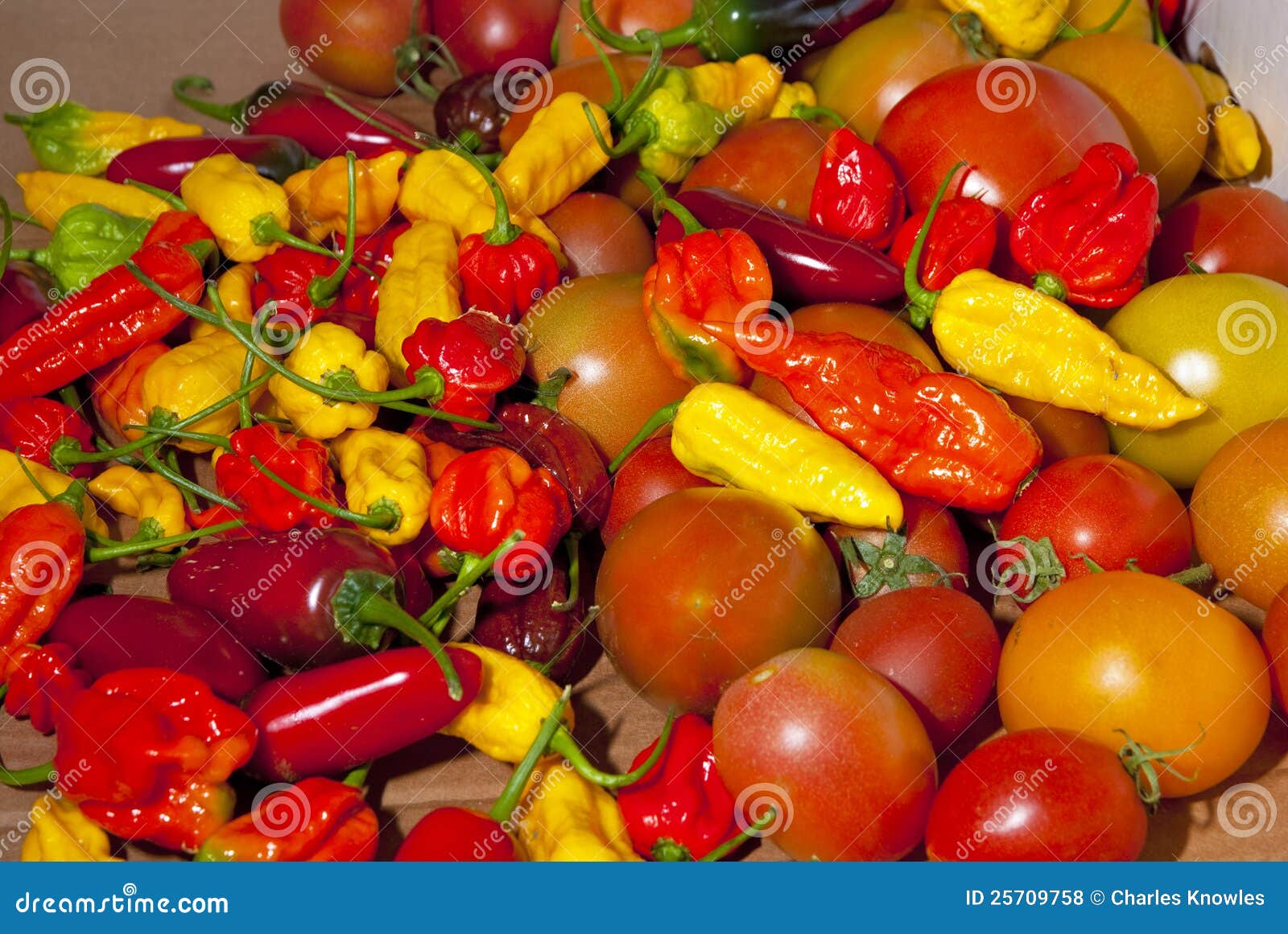 Assorted Peppers and Tomatoes on a Table Stock Photo - Image of round ...