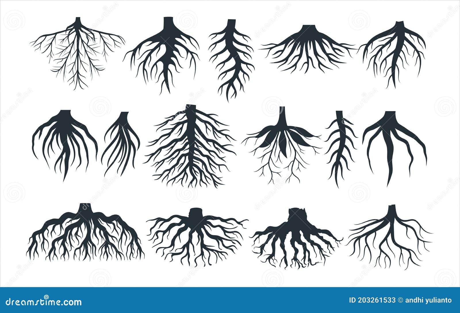 Assorted Plant Root Type Shape Vector Graphic Design Template Set for ...