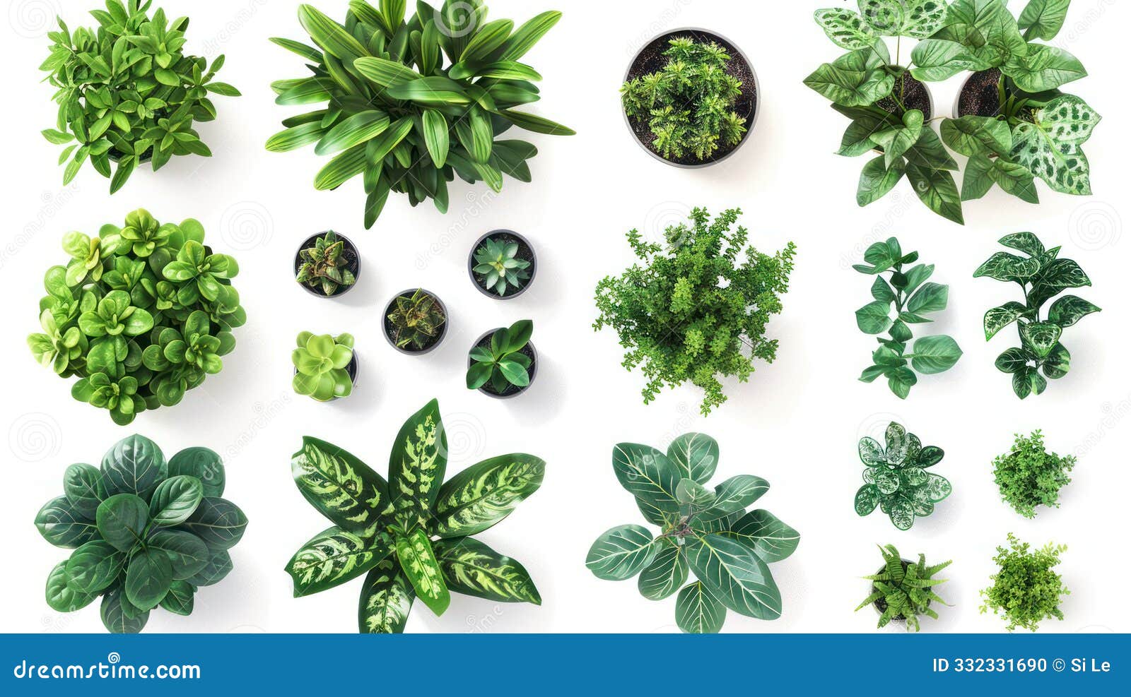 Assorted Potted House Plants - Top View Isolated Template for Interior ...