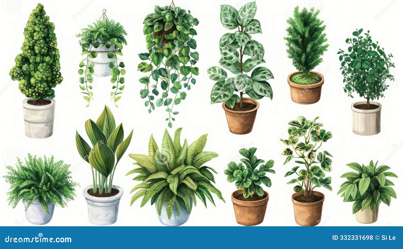 Assorted Potted House Plants - Top View Isolated Template for Interior ...