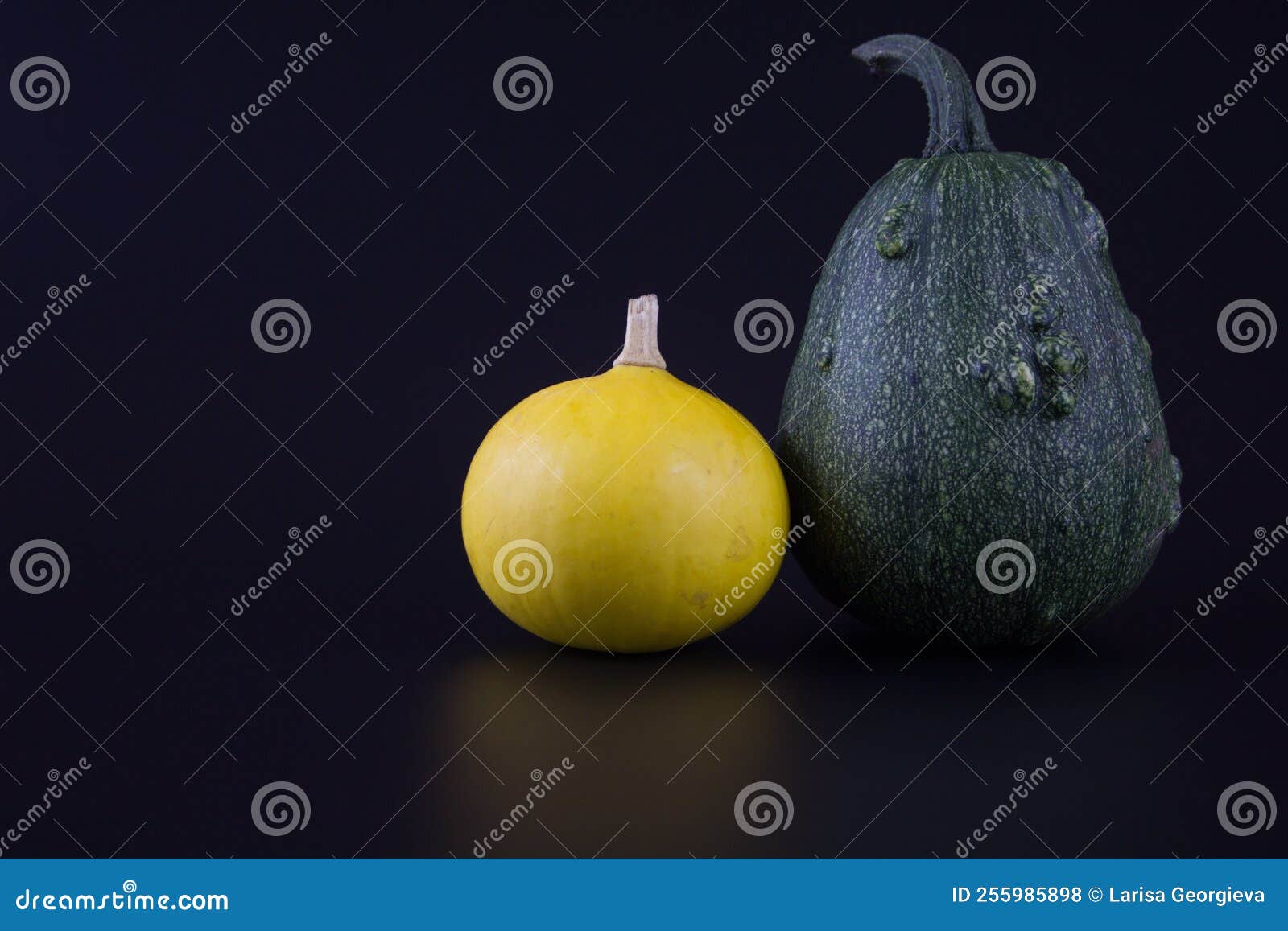 Assorted Pumpkins and Squash on Black Background Stock Photo - Image of ...