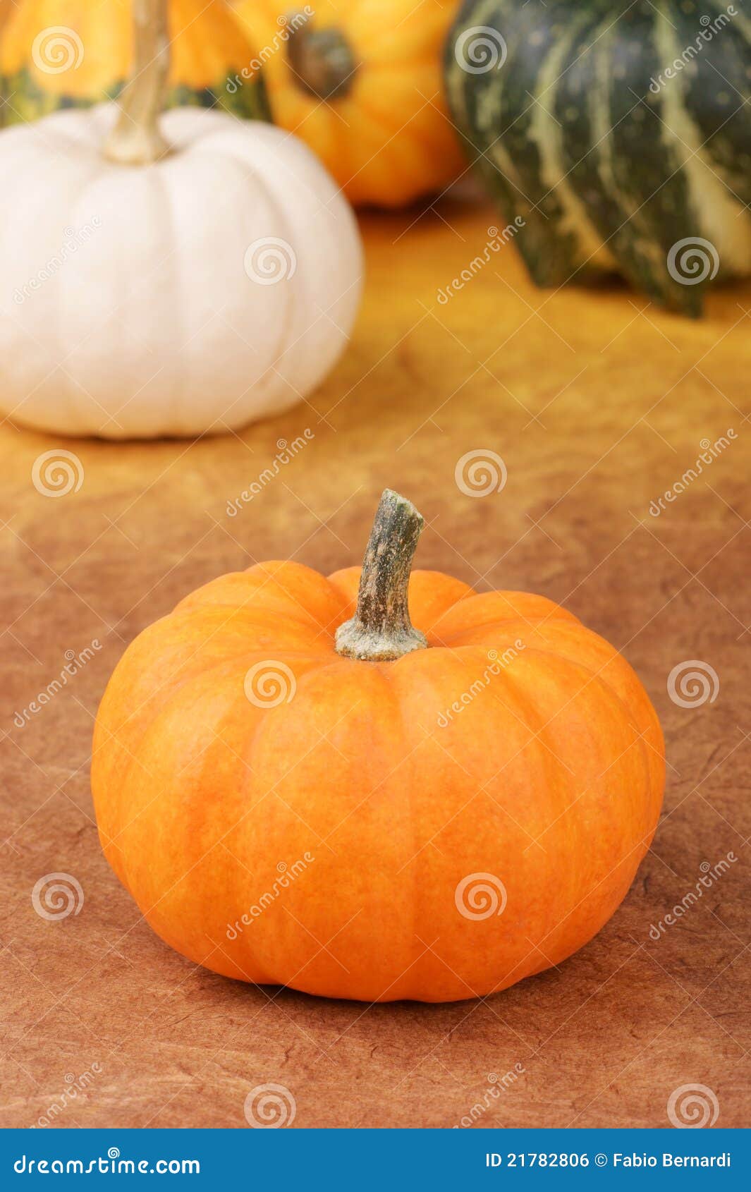 Assorted pumpkins stock photo. Image of illuminated, pumpkin - 21782806