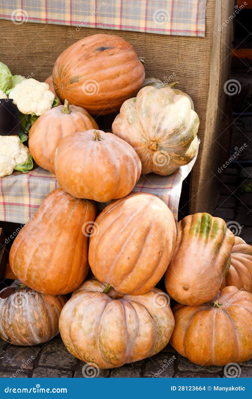 Assorted pumpkins stock photo. Image of healthy, outdoors - 28123664