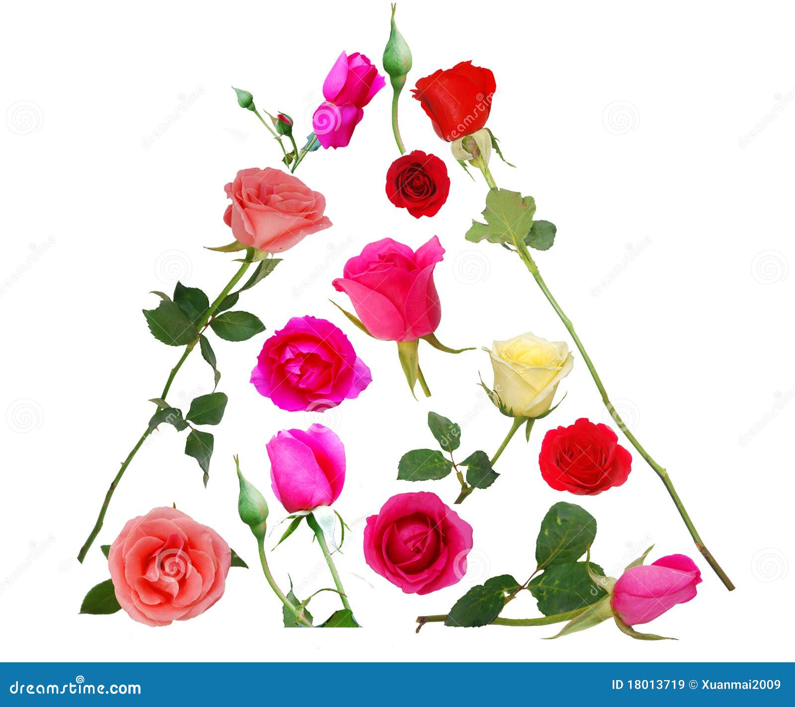 Assorted pyramid roses stock illustration. Illustration of flower ...