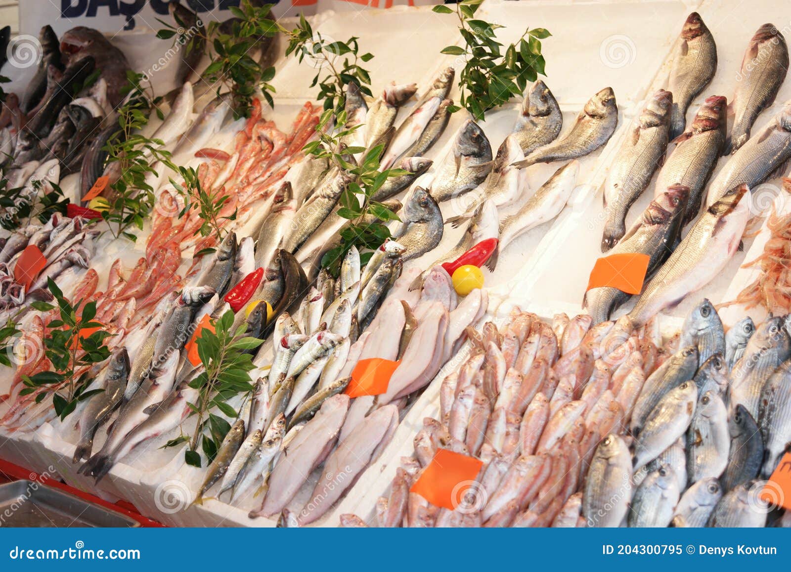Assorted Raw Fish on Display at Fish Market. Stock Image - Image of ...