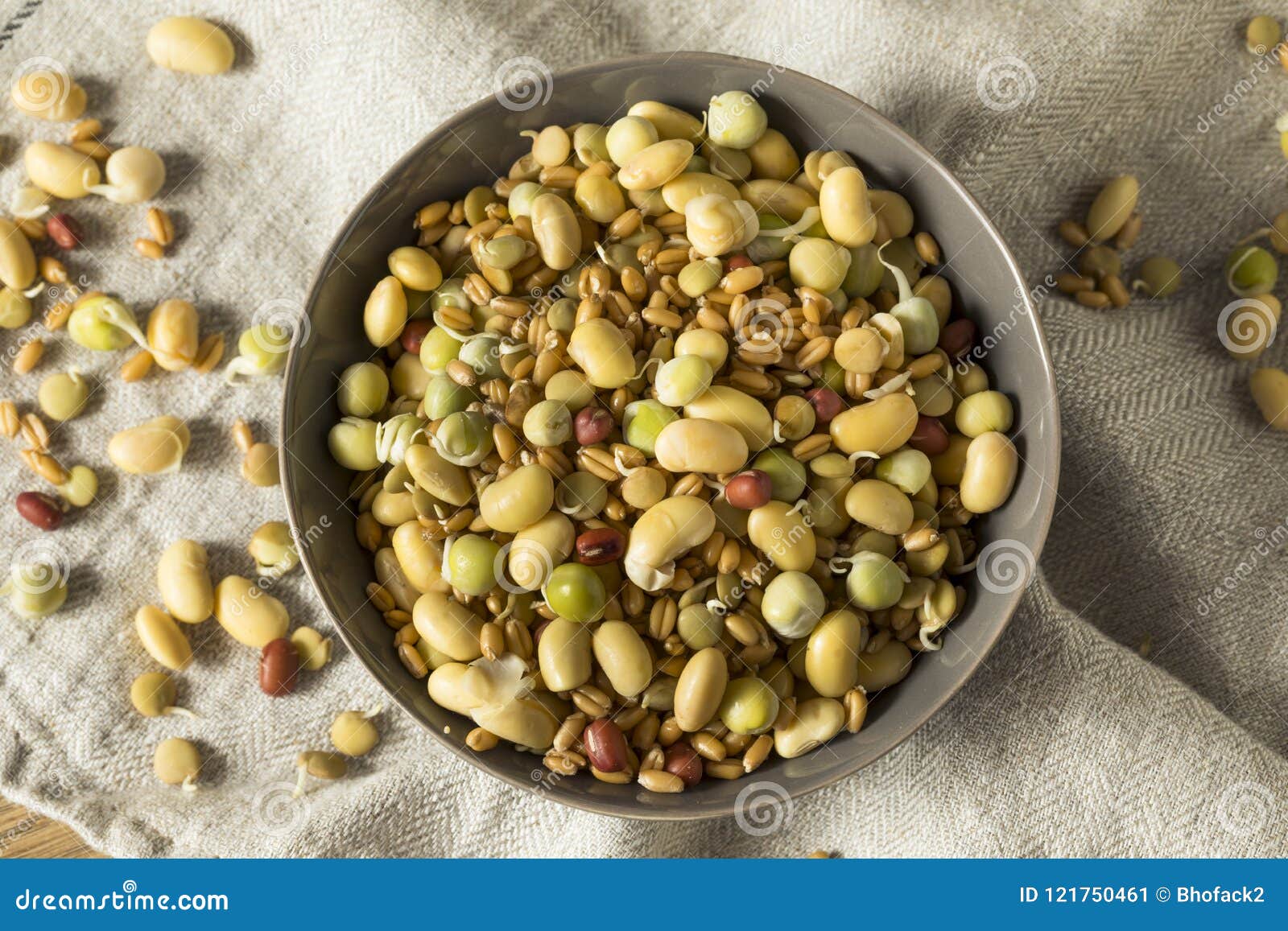 Assorted Raw Sprouted Beans Legumes Stock Image - Image of legumes ...